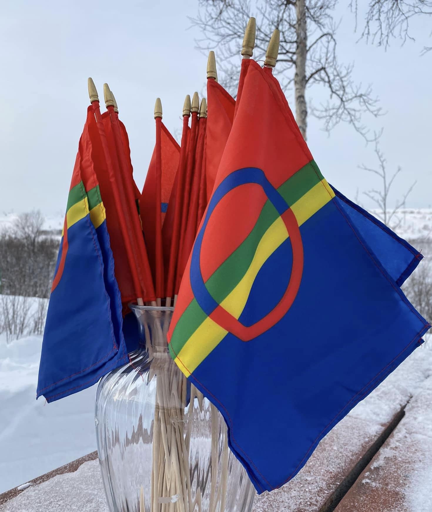 Lihkku sámi álbmotbeivviin! | Varanger museum